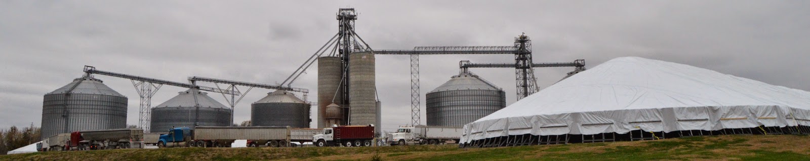 Towns and Nature: Olney, IL: CGB Grain Elevator, Rewritten