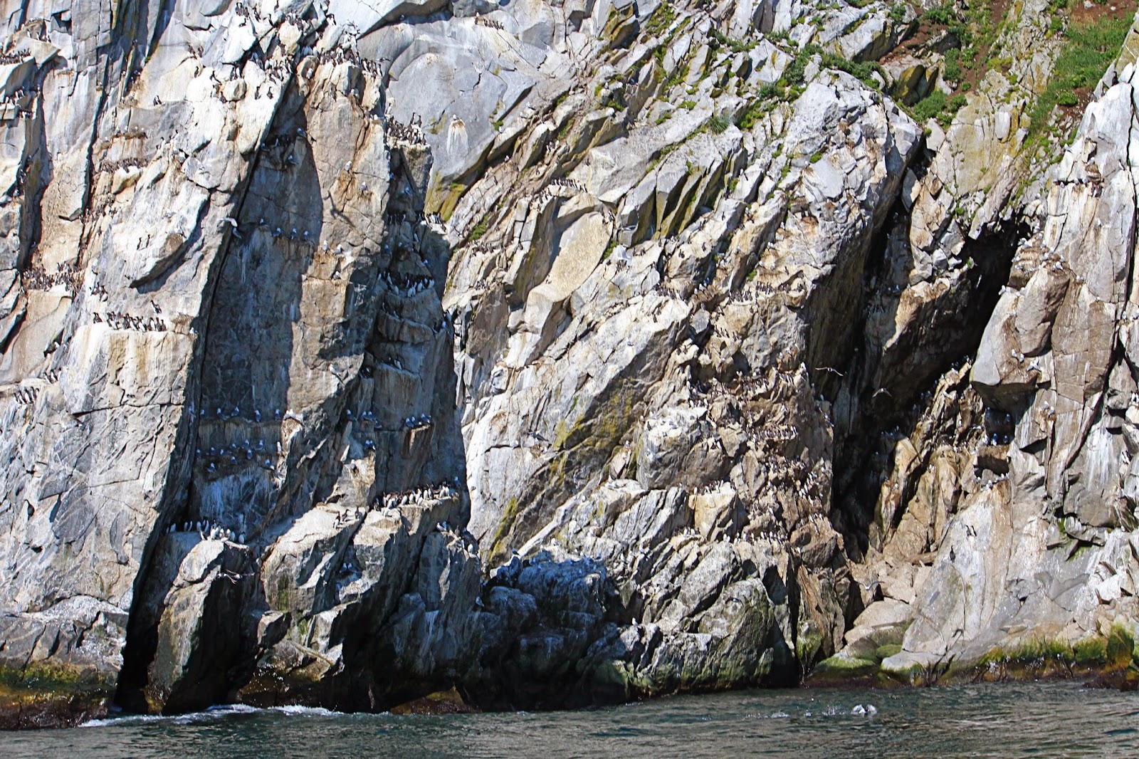 Nome, Alaska: Sledge Island -Trip 2