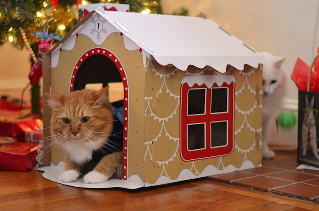 Chester's reaction to Cloud tossing a plastic ball and freaking him out.