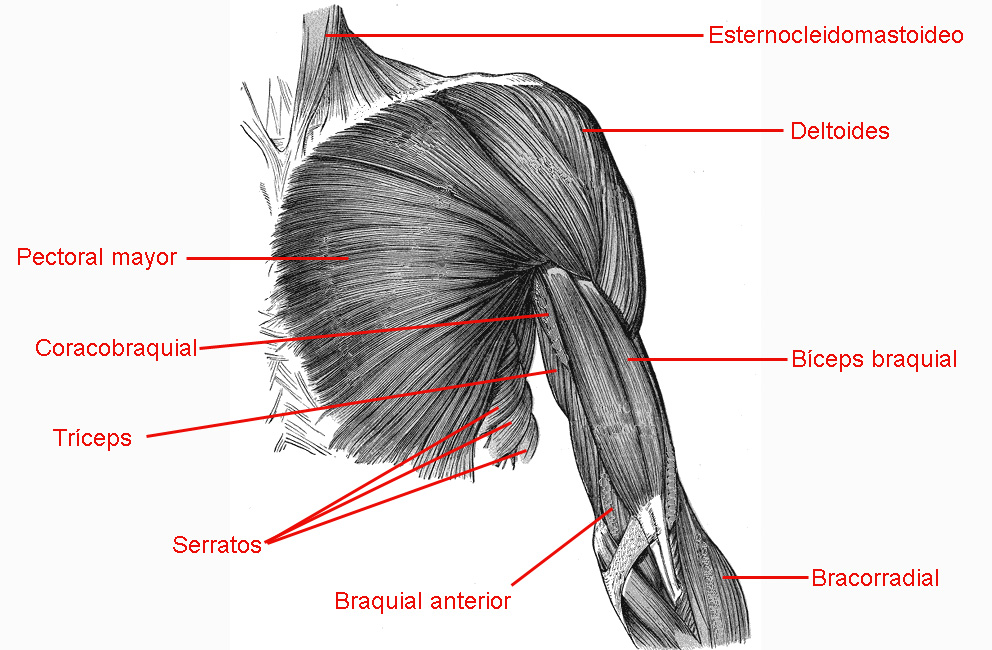 Centre Podoclínic: 2016