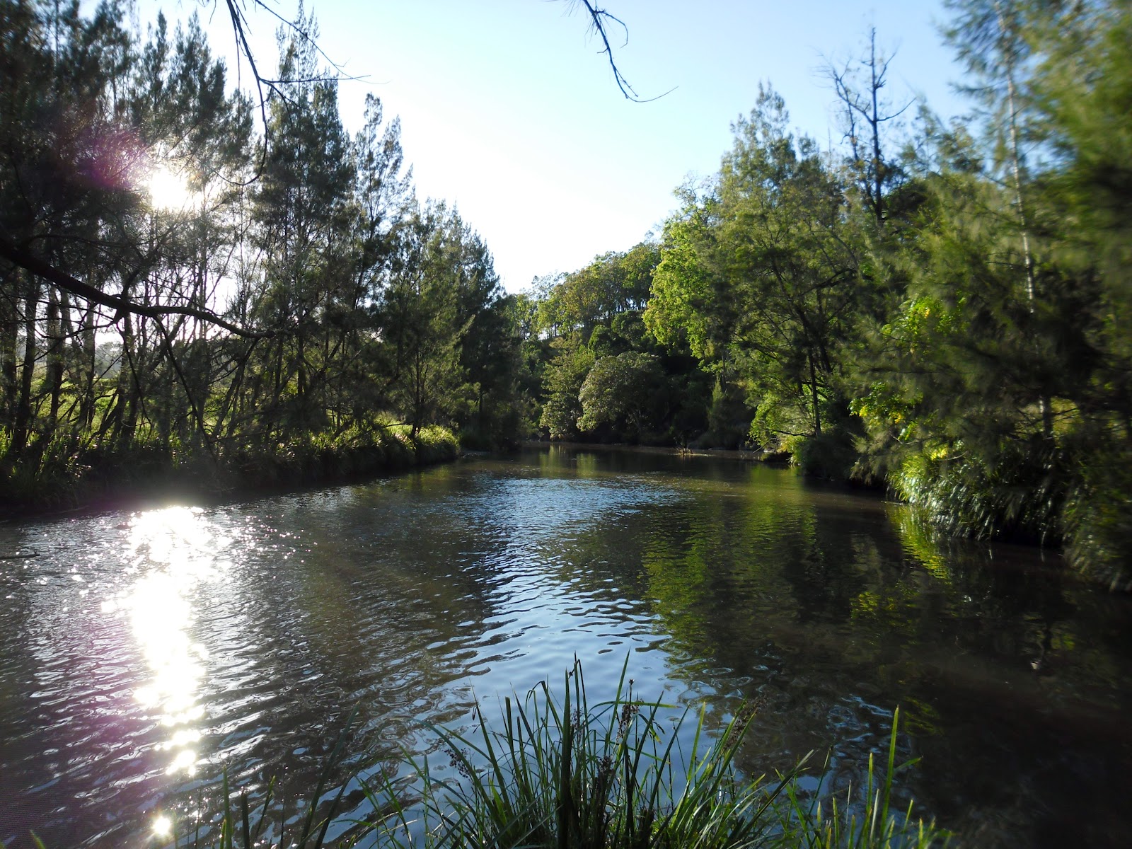 Bush, Fishing and Fun: Lostock Dam trip 9/4/12