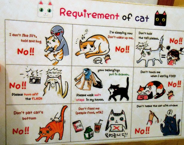 Mr. Puddy: Cat Cafe'