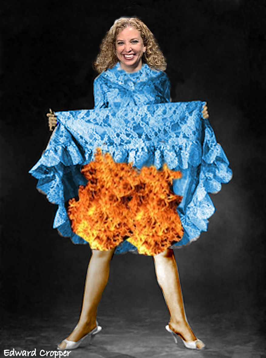 Democratic National Committee Chairwoman Debbie Wasserman Schultz ...