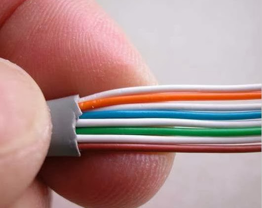 Frida Olguin: Ponchado de Cables