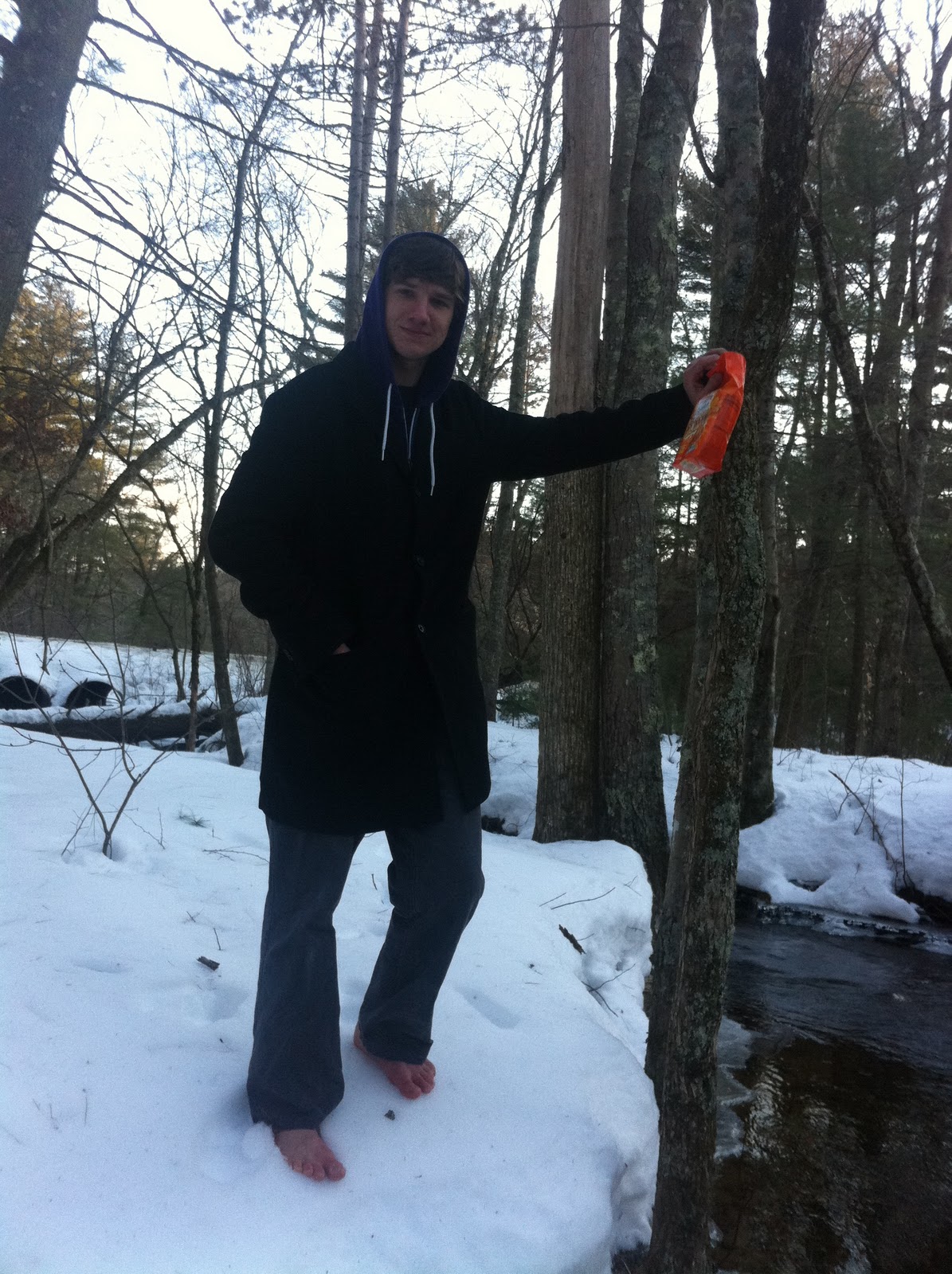 Barefoot Living: Day in the Woods