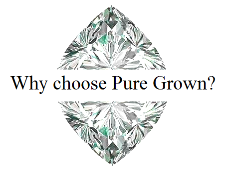 Larog Daily Diamond: Pure Grown: A Revolution in Diamonds