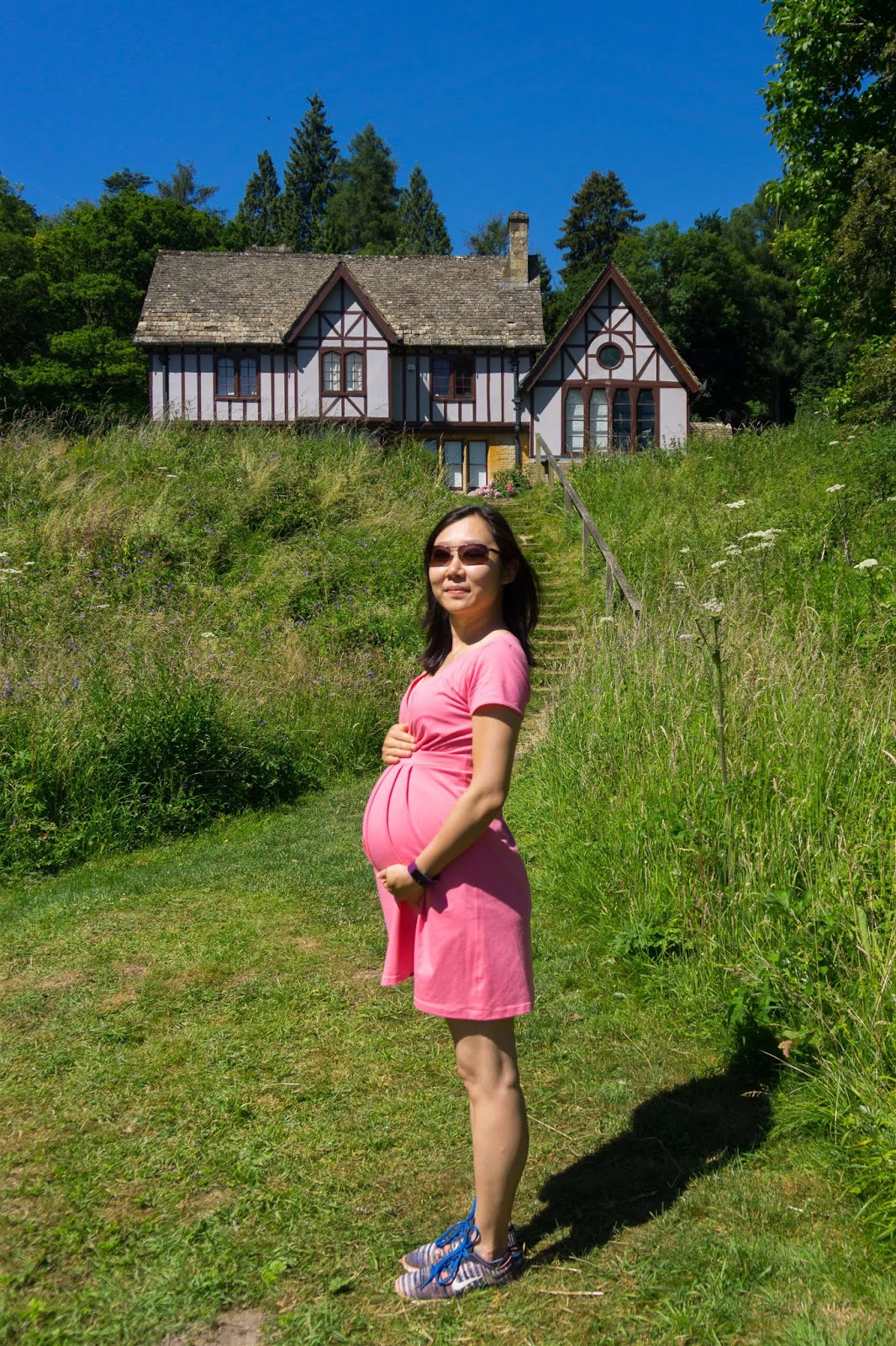 Queen of Darts: A maternity & nursing dress - Simplicity 1469/Megan ...