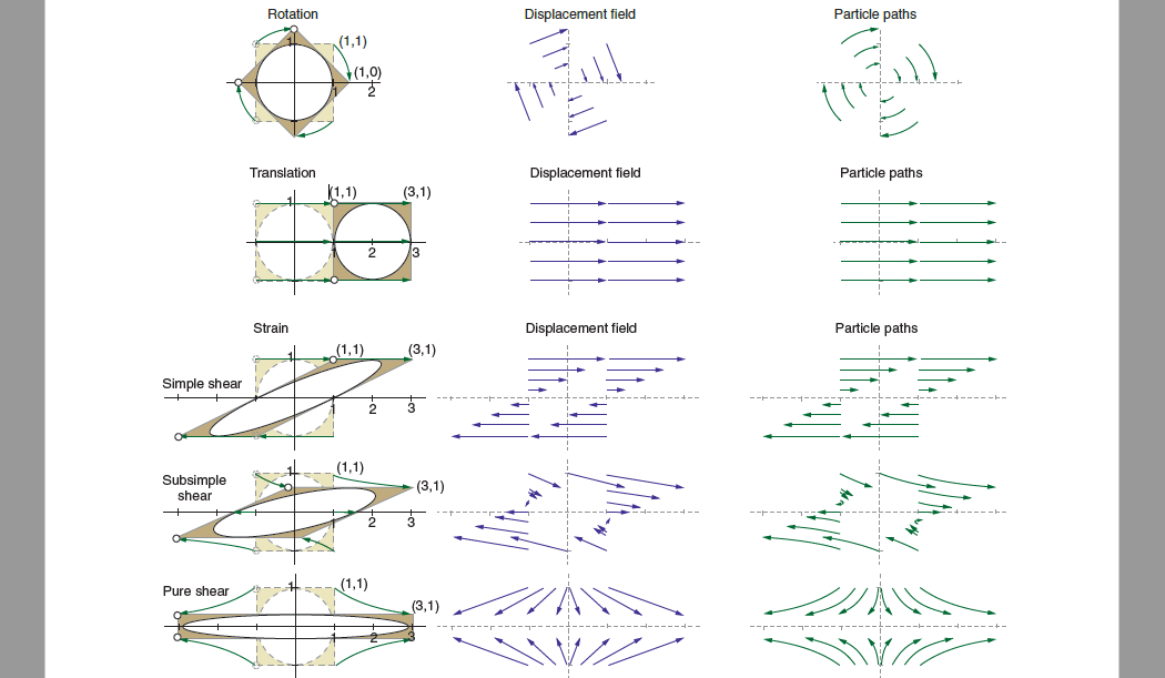 Deformation (Deformasi) ~ NeededThing