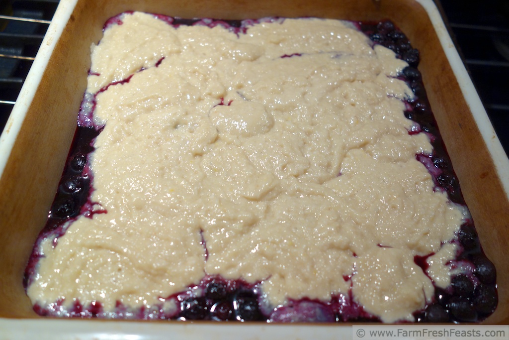 Farm Fresh Feasts: Blueberry Breakfast Cobbler with Grits