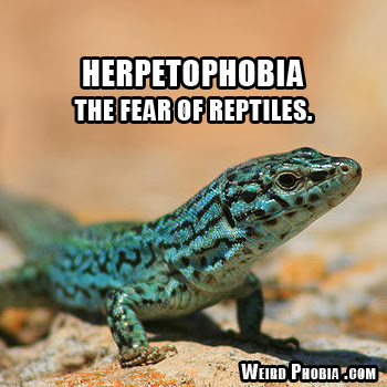 Collections: Phobias