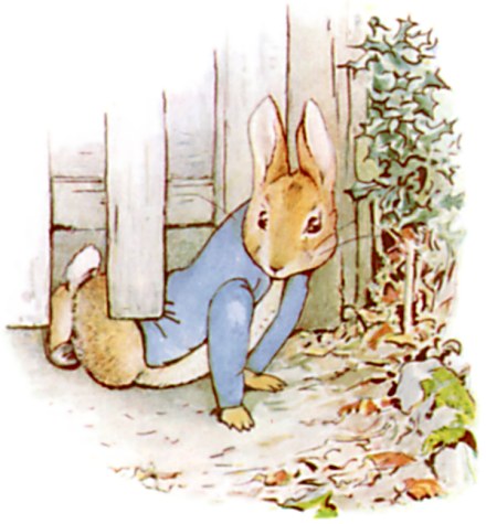 Strangers & Pilgrims on Earth: Gardening with Peter Rabbit ~ Precious ...