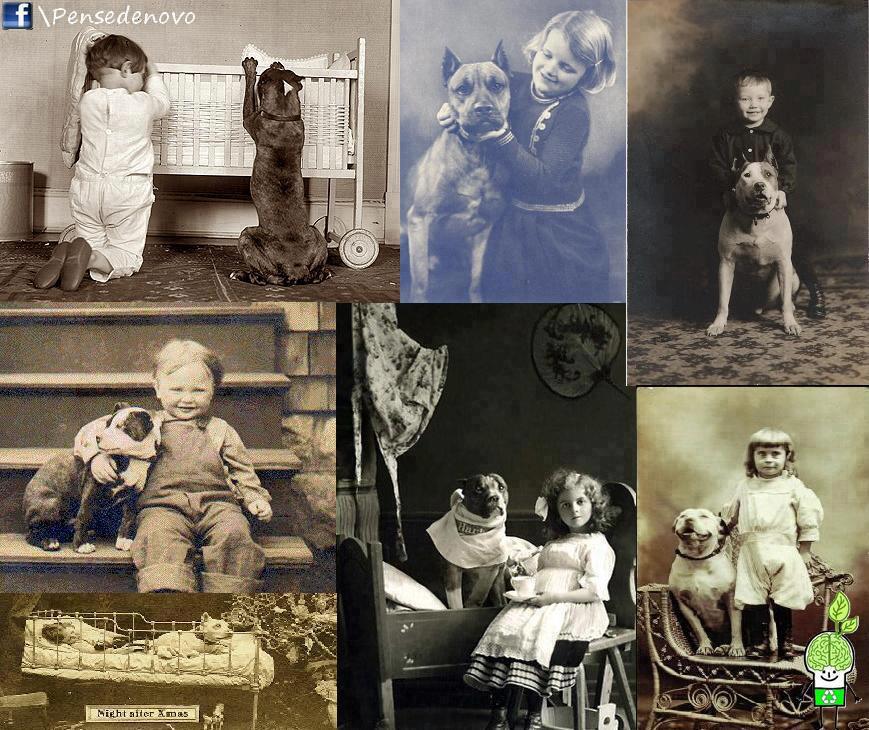 ANJOS DE 4 PATAS!!!: PIT BULL O CÃO BABÁ!!!