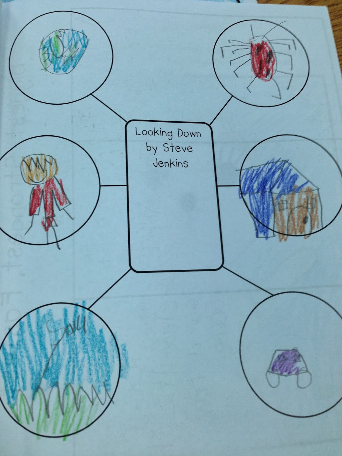 The Adventures of a K/1 Teacher: Steve Jenkins Author Study