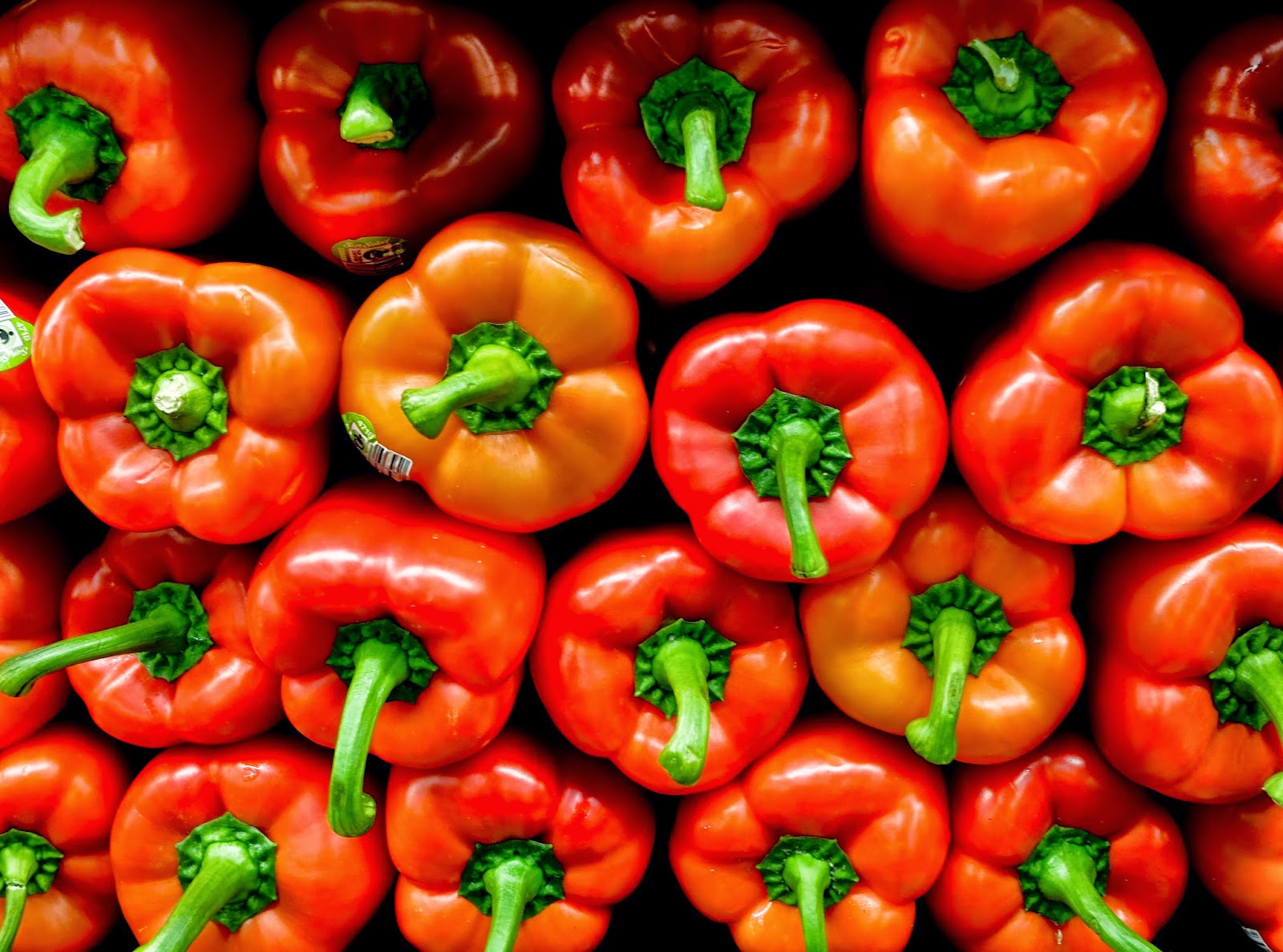 Jake Klonsky Photography: Project 2 Framing and Composition