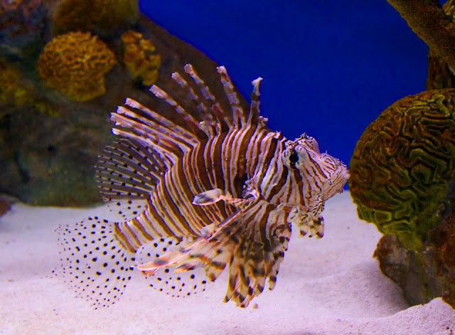 Exhibit Galleries Blog