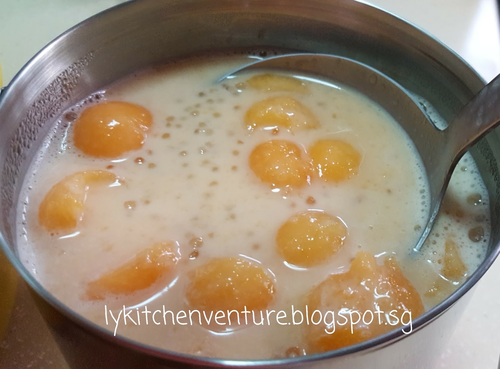 LY's Kitchen Ventures: Rockmelon Sago