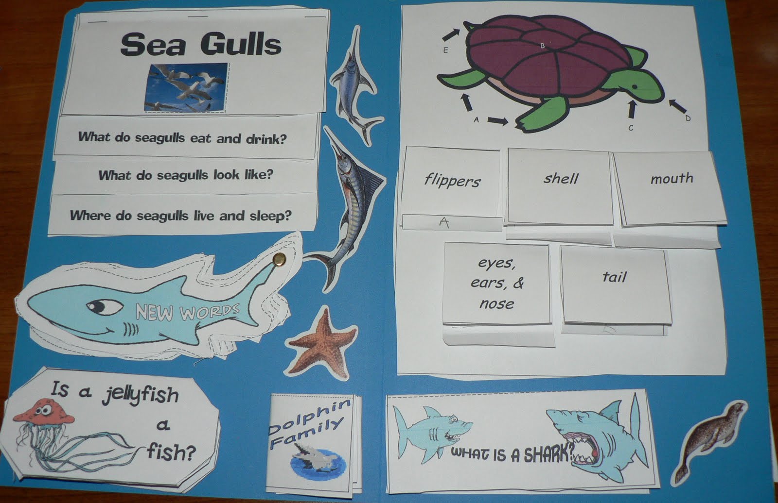 Walking by the Way: ECC Weeks 27-28 More From Japan & Ocean Studies