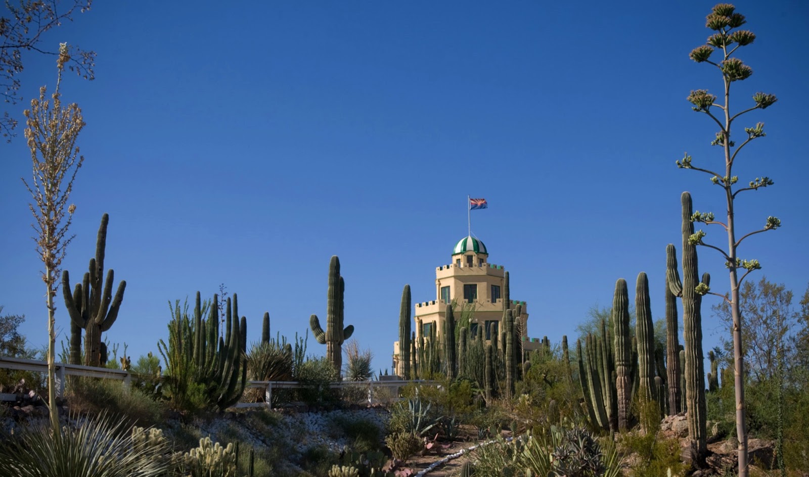 Phoenix. A voyage to Phoenix, Arizona, United States, North America ...