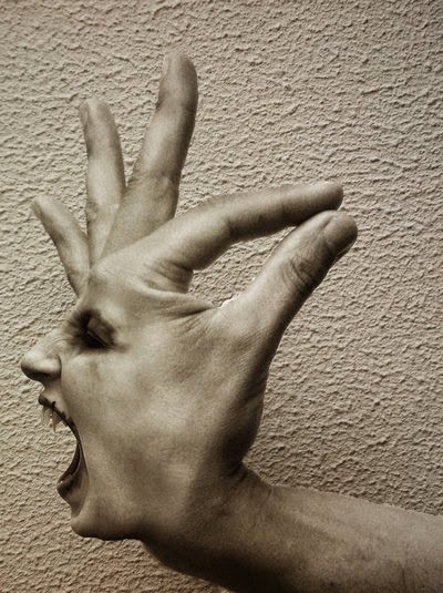 La Biblioteca de Bizien: LA MANO