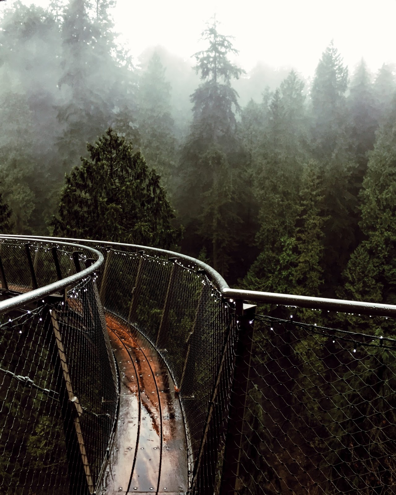 Vancouver: Capilano Suspension Bridge Park | StephC