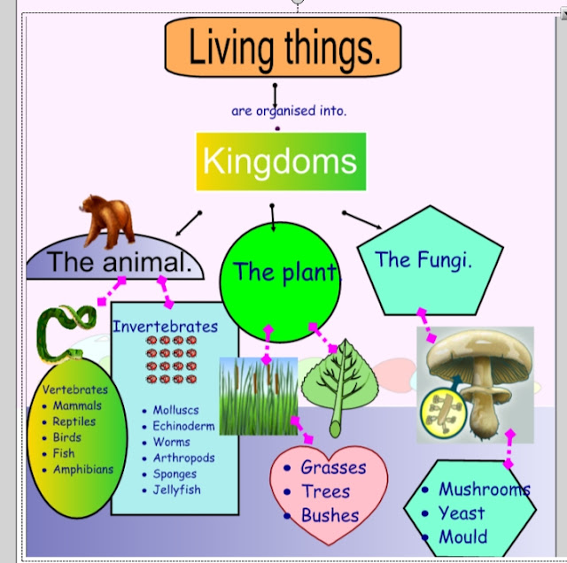 We love learning!!!.: Natural Science . Mind map of kingdoms and ...