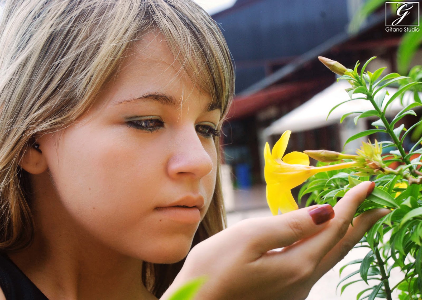 Gitano Studio: Book de Alice Lima