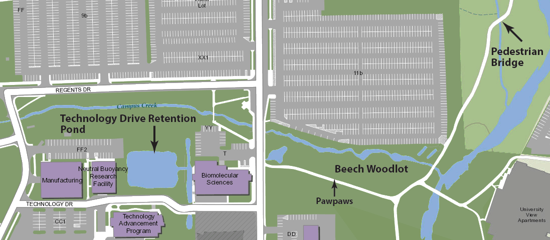 A Maryland Naturalist: Local Color: Wildflowers on the University of ...