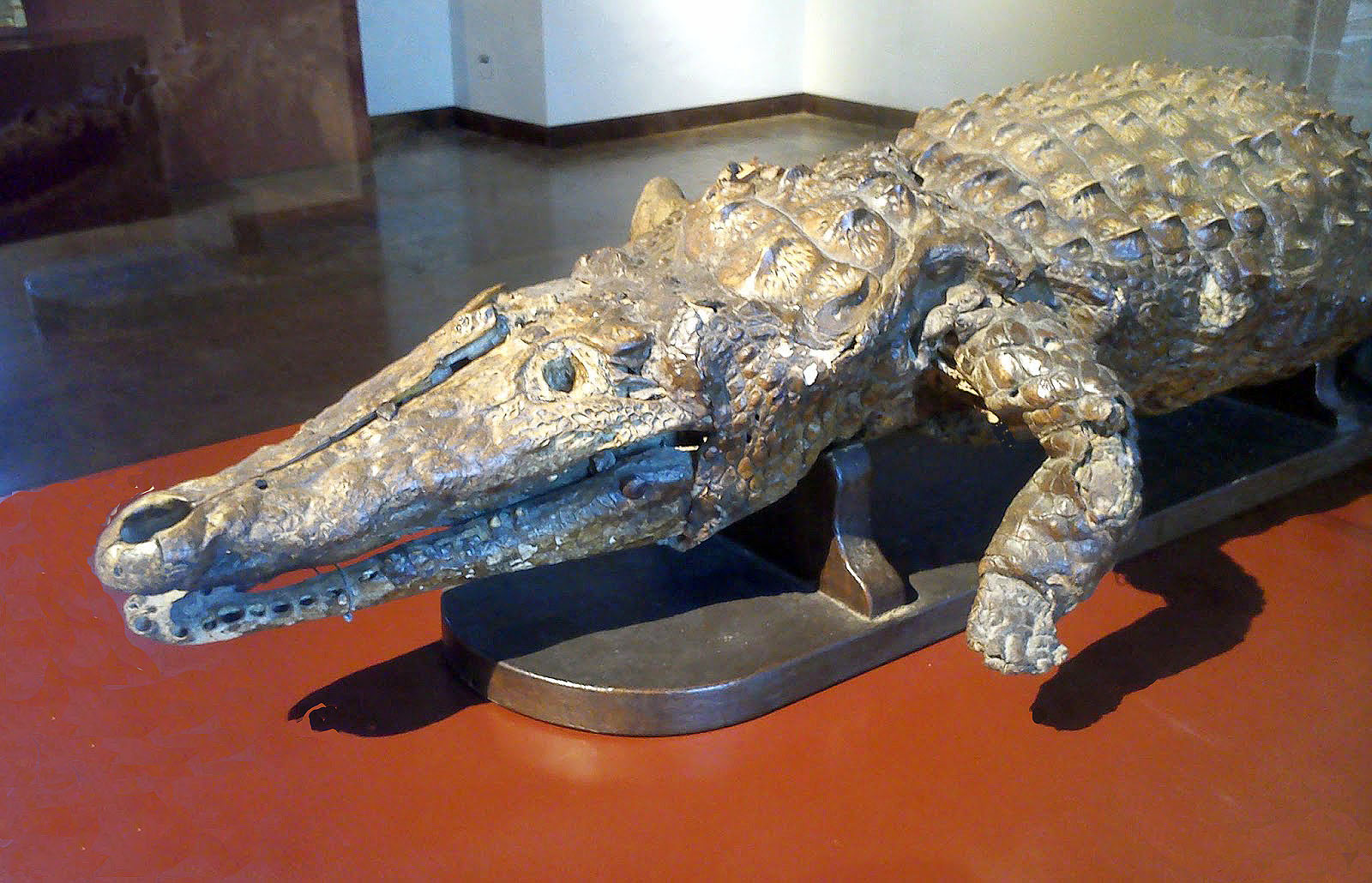 UEP!: EL DRAC DE NA COCA.