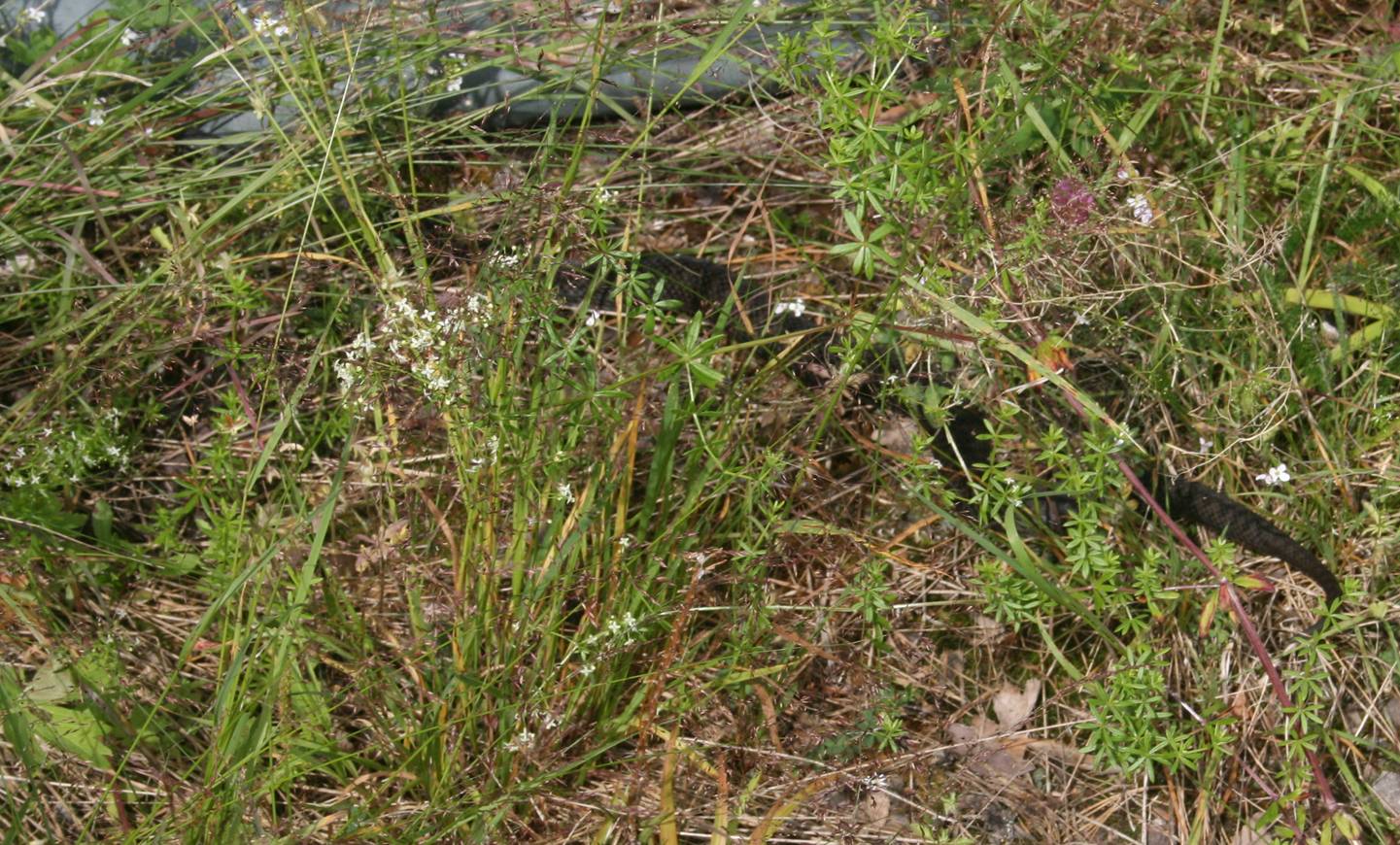 history matters!: Historielærerens sommerekskursjon - Del 3: Om ...