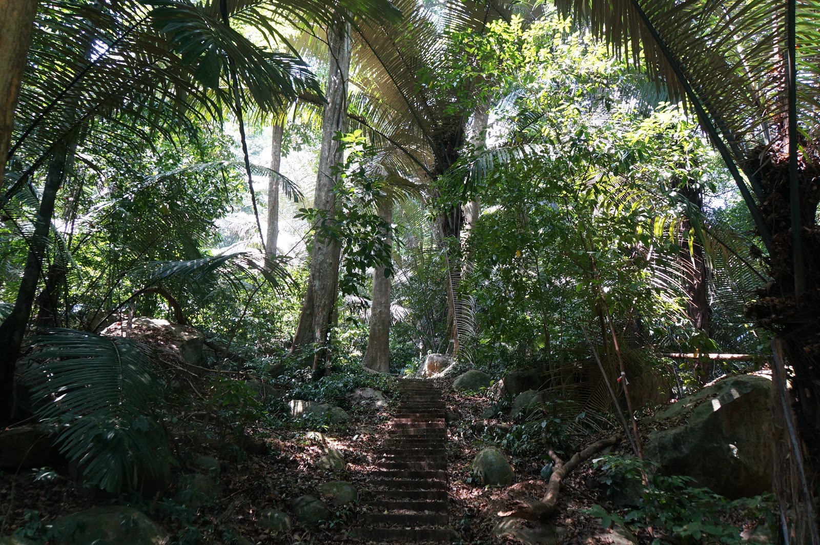 Malaisie - jour 12 : Tioman - Jungle trek vers Juara