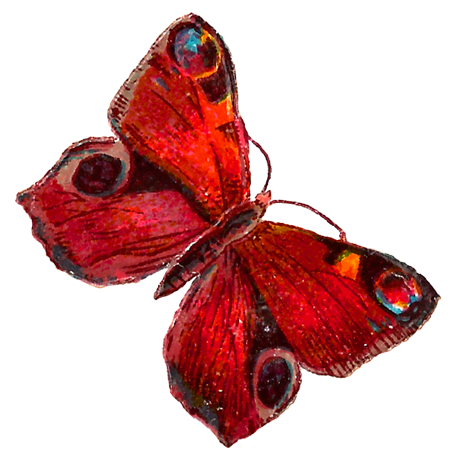 Red Butterfly Png
