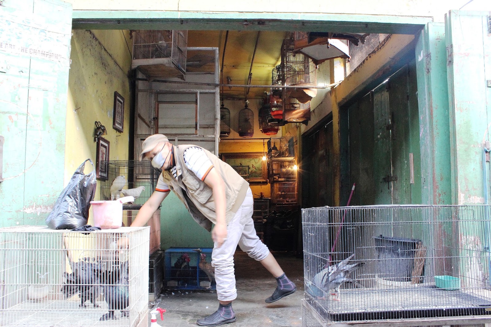 Pasar Burung Sukahaji | Uncle Seronok