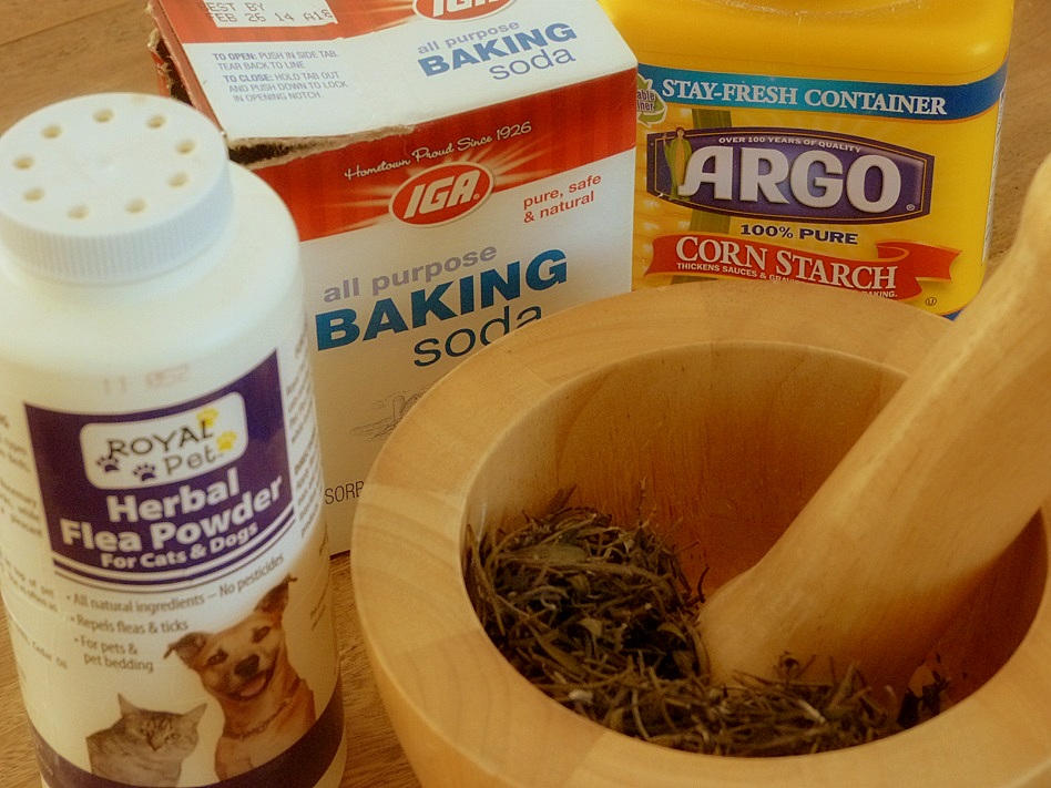 Cottage Life on Pilgrim's Farm: Non-Toxic "Go-Away" Flea Powder...