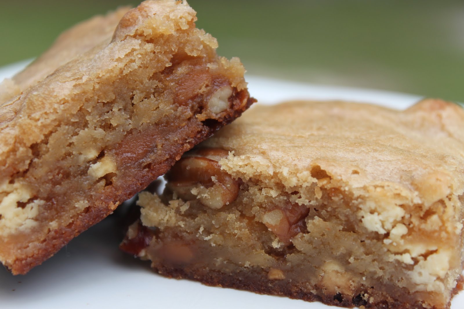 A Well Seasoned Life Recipe Snapshot The Best Blondies