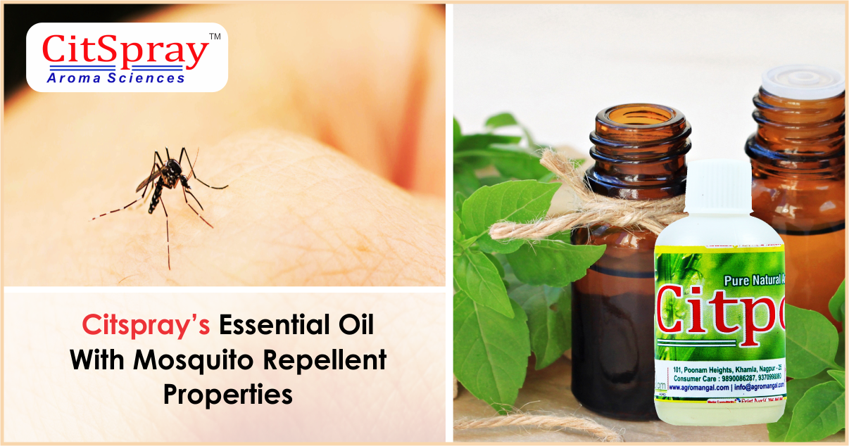 Essential Oils with Mosquito Repellent Properties