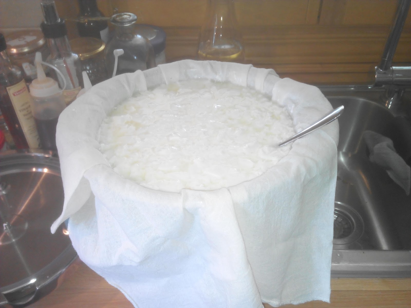 Cómo hacer queso