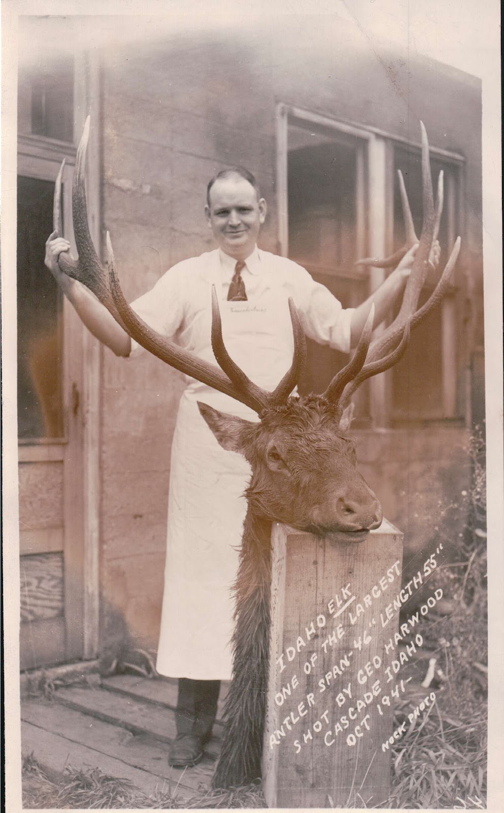 My Logue Family Ancestry