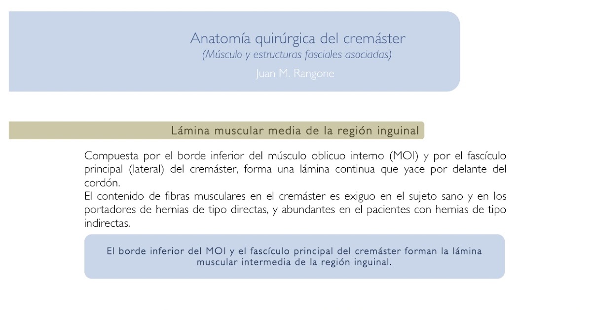 Cuadernos de Anatomía Quirúrgica: Anatomía quirúrgica del cremáster.