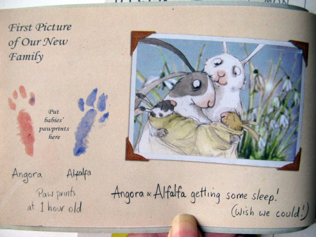 Ilma's illustrations: The Rabbit Problem by Emily Gravett