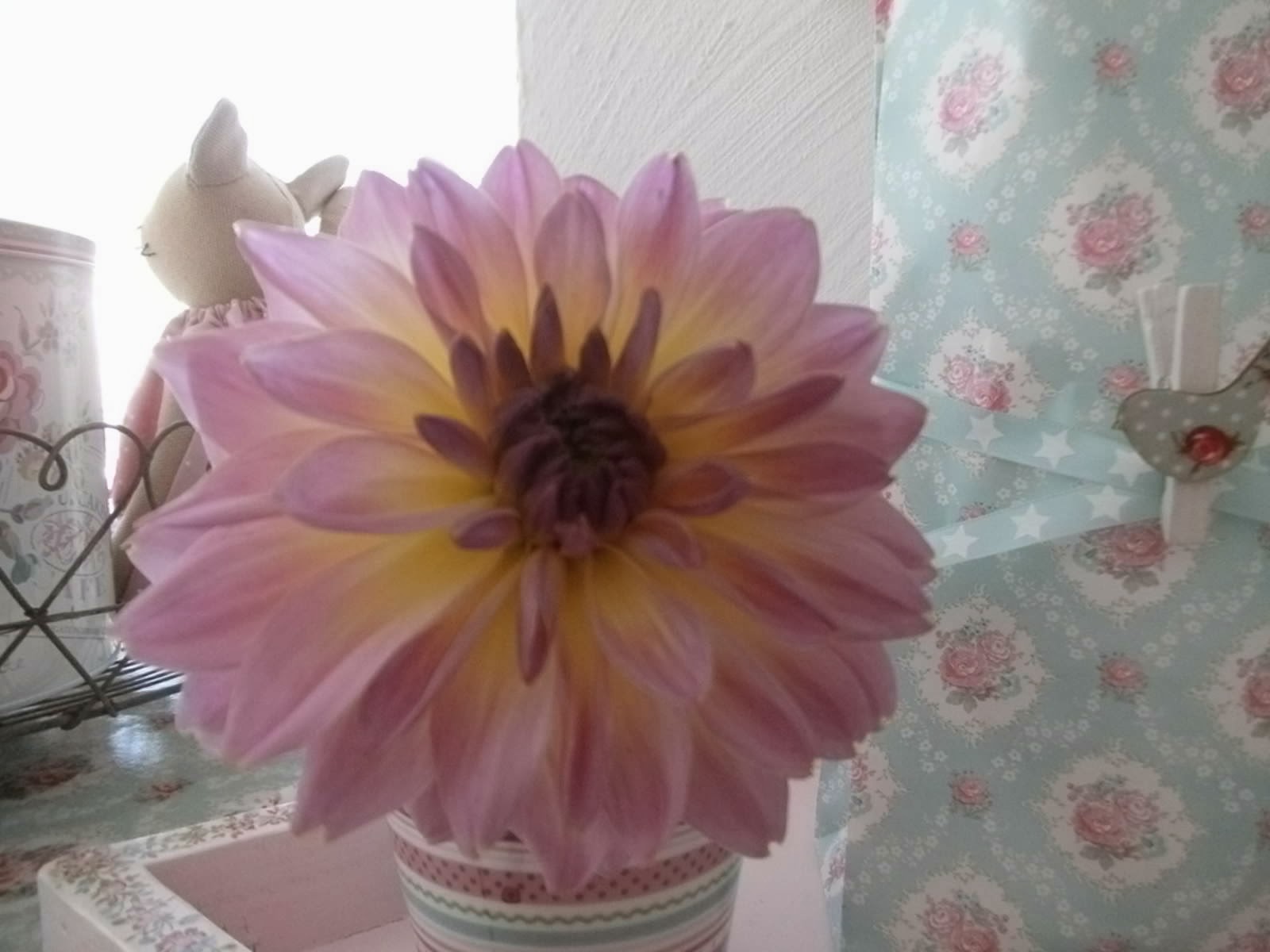 Lila Lavendel: Neue Lampen und andere schöne Dinge...