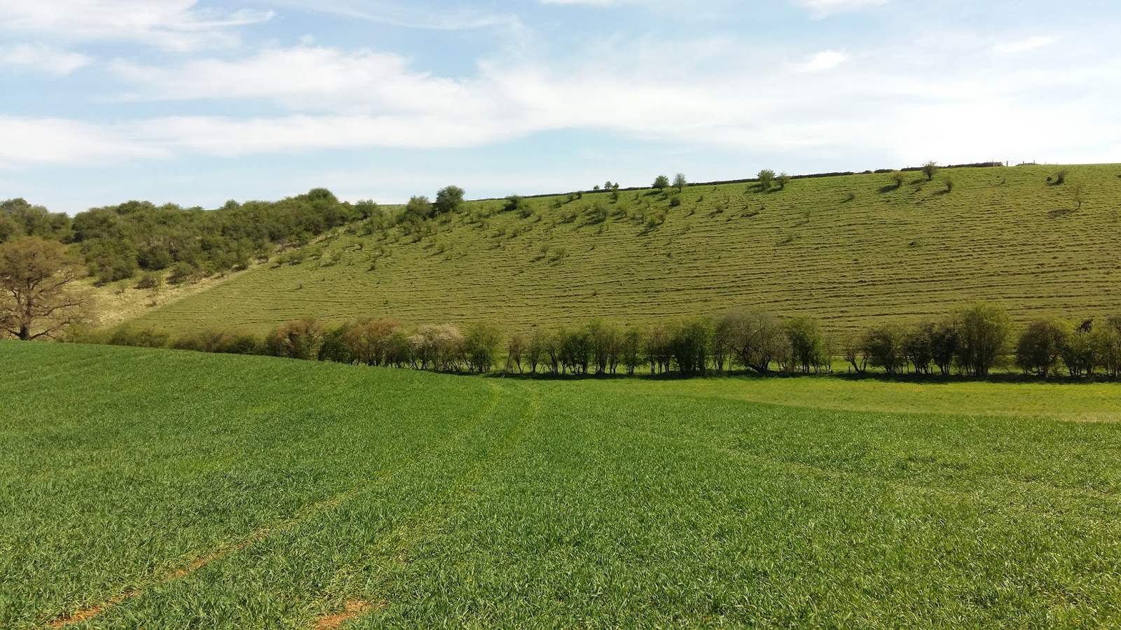 Cotswolds Travel: Idyllic Circular Walk Around Turkdean, Hazelton, and ...