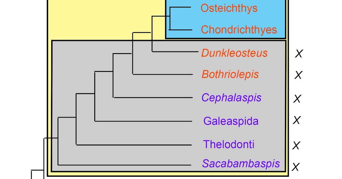 PaleoStories: Stem Group vs Crown Group: una questione non di poco ...