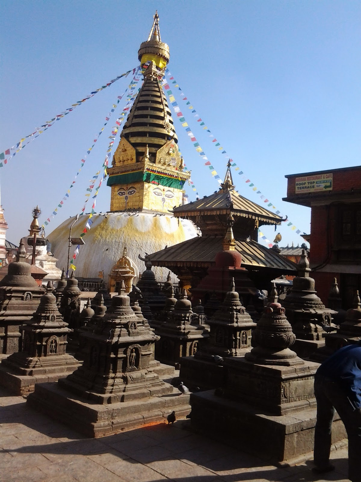 Testimonio en Nepal: historia de un estar: Swayambhunath, el templo de ...