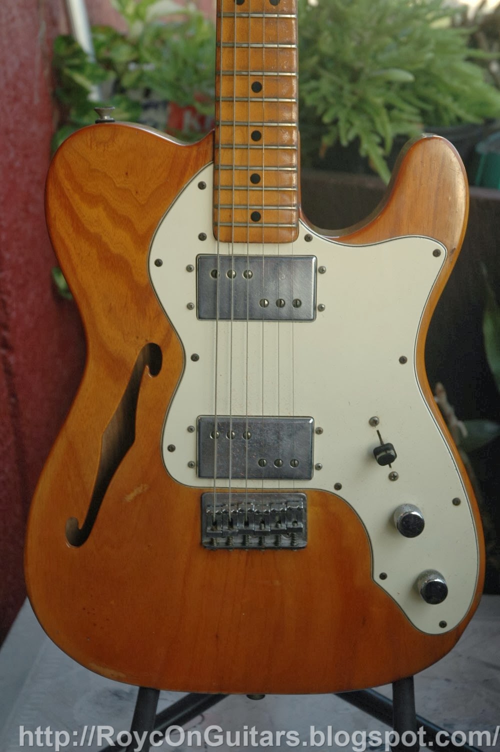 RoyC on Guitars: Fender Guitar Models