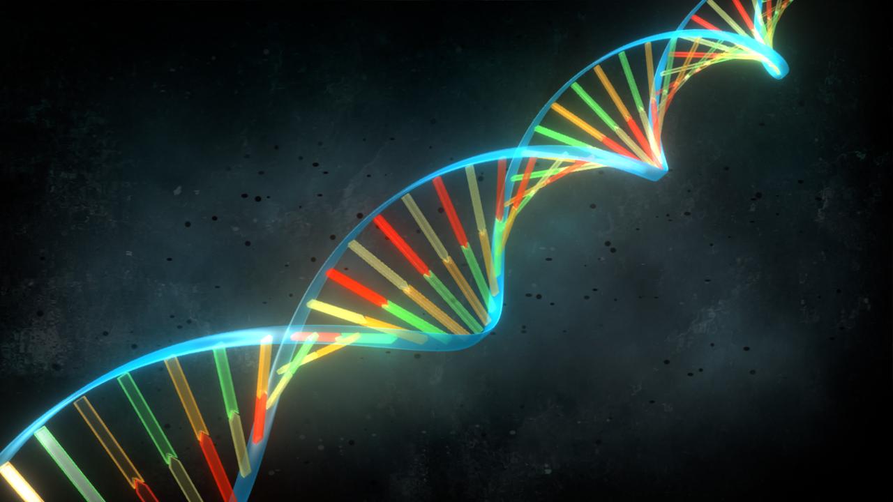 purpura: SOMOS SERES MUTANTES