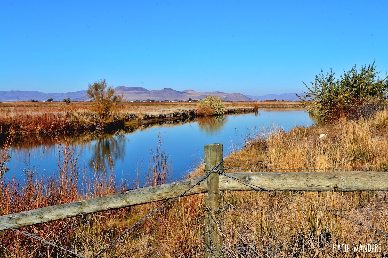 Katie Wanders : Bear River Migratory Bird Refuge