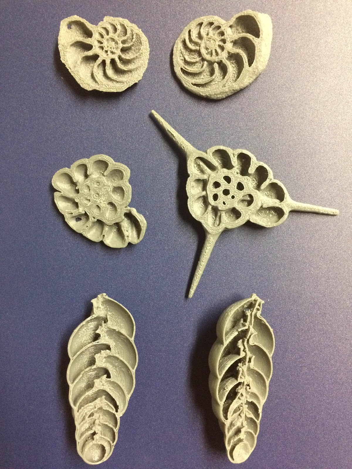 Microfossils Project