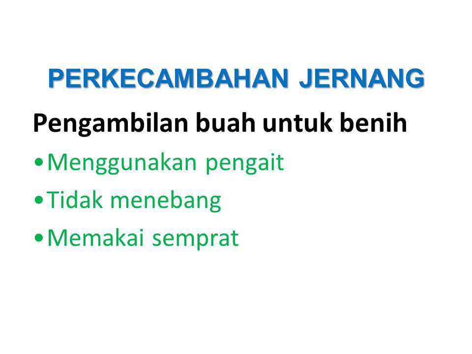 JERNANG (Daemonorops.Sp): BUDIDAYA JERNANG - PEMBENIHAN