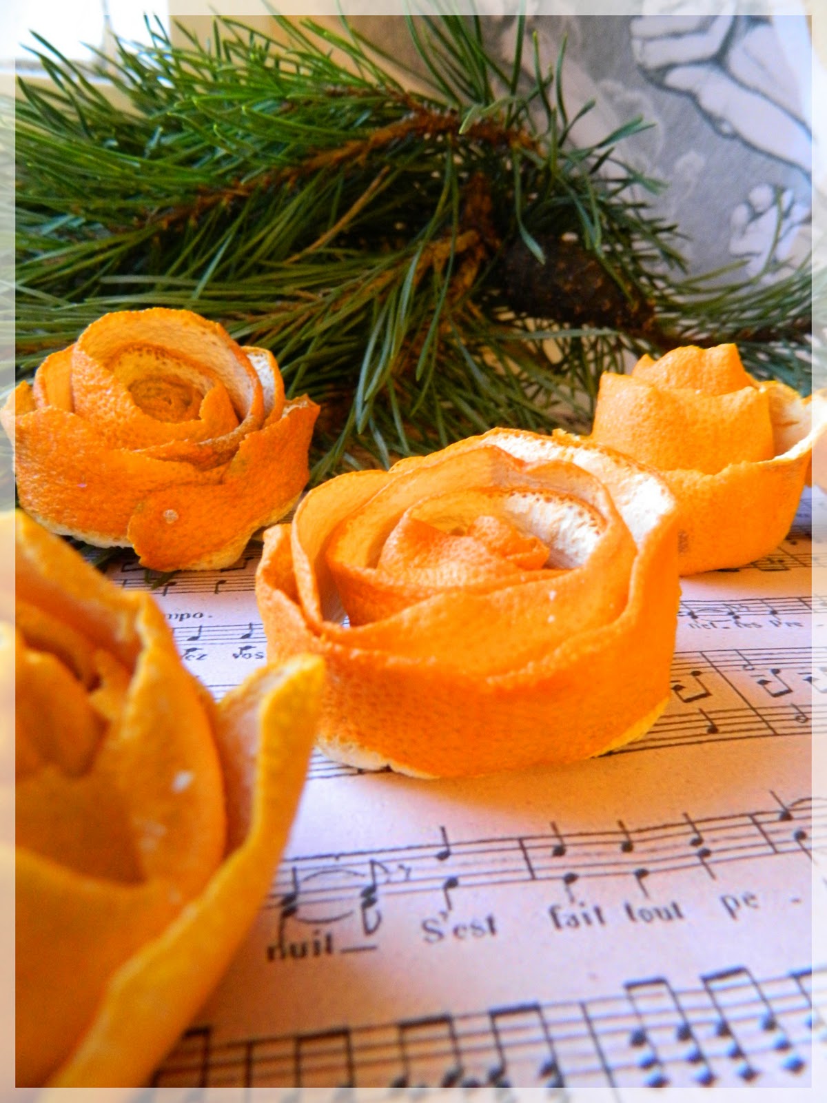 Страната отвъд дъгата: Рози от портокали - Orange Peel Rose