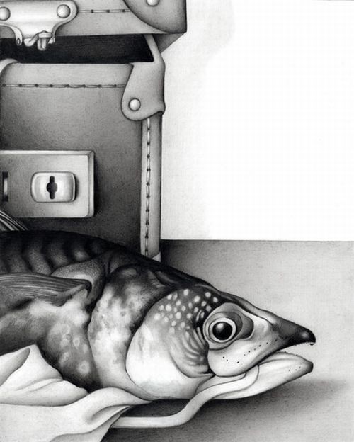 High Resolution Pictures, Nice Pictures, Best Scienaries, Different ...